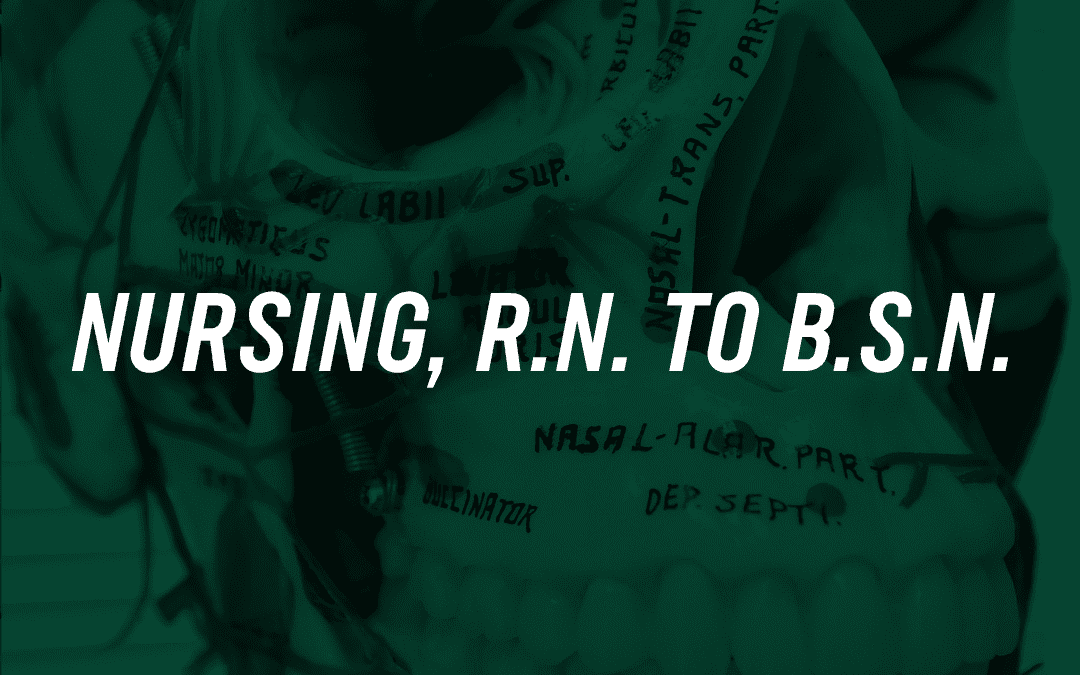 Undergraduate Programs – School of Nursing