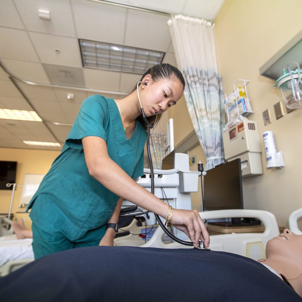 Undergraduate Programs - School of Nursing