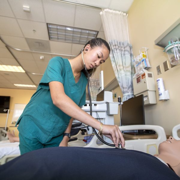 Undergraduate Programs - School of Nursing